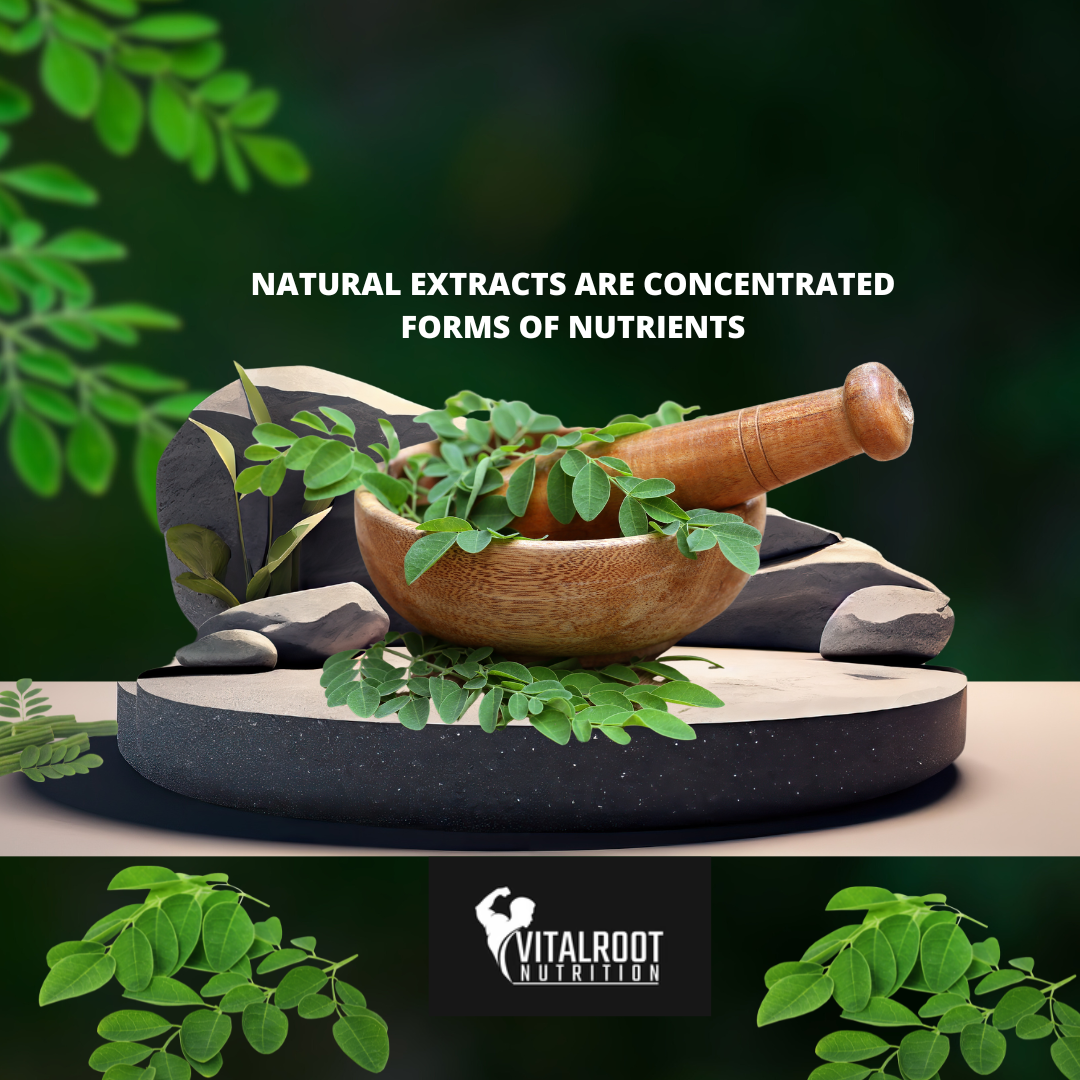 Unlocking the Power of Natural Extracts – Vital Root Nutrition